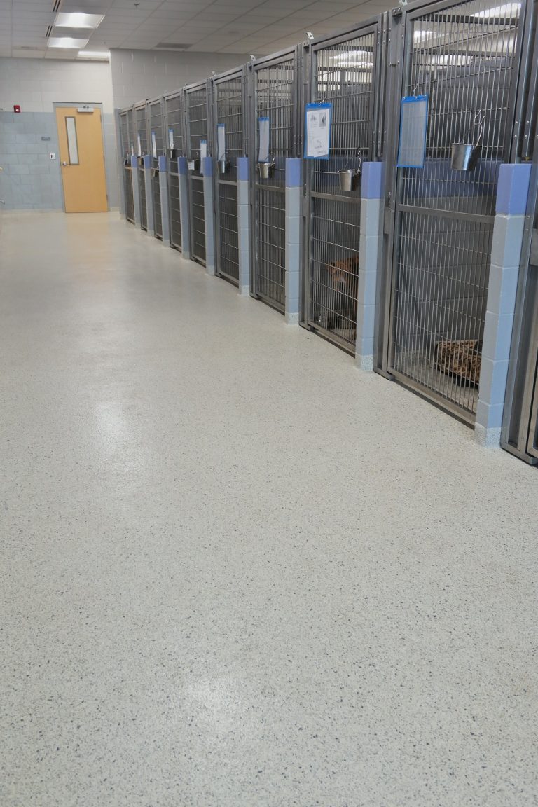 The Jacksonville Humane Society: Plexi-Chemie Coatings Create ...